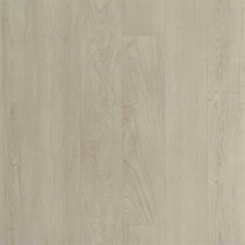 Ecore Athletic | Baller Motivate Class I | Canada