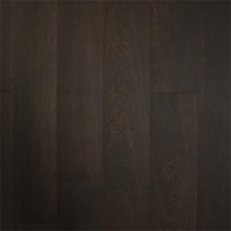 Ecore Athletic | Heritage Motivate PVT - Planks | Canada