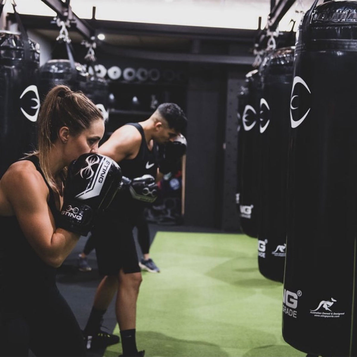 Sting Boxing | ARMALITE Boxing Gloves | XTC Fitness | Canada