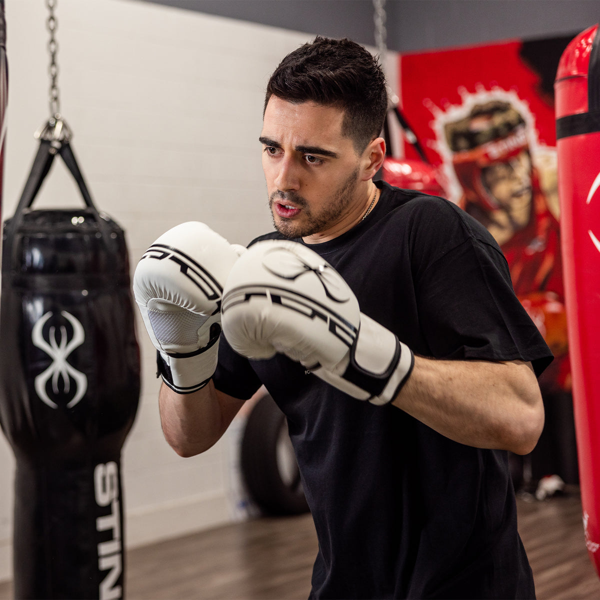 Sting Boxing | ARMAPLUS Boxing Glove | XTC Fitness | Canada