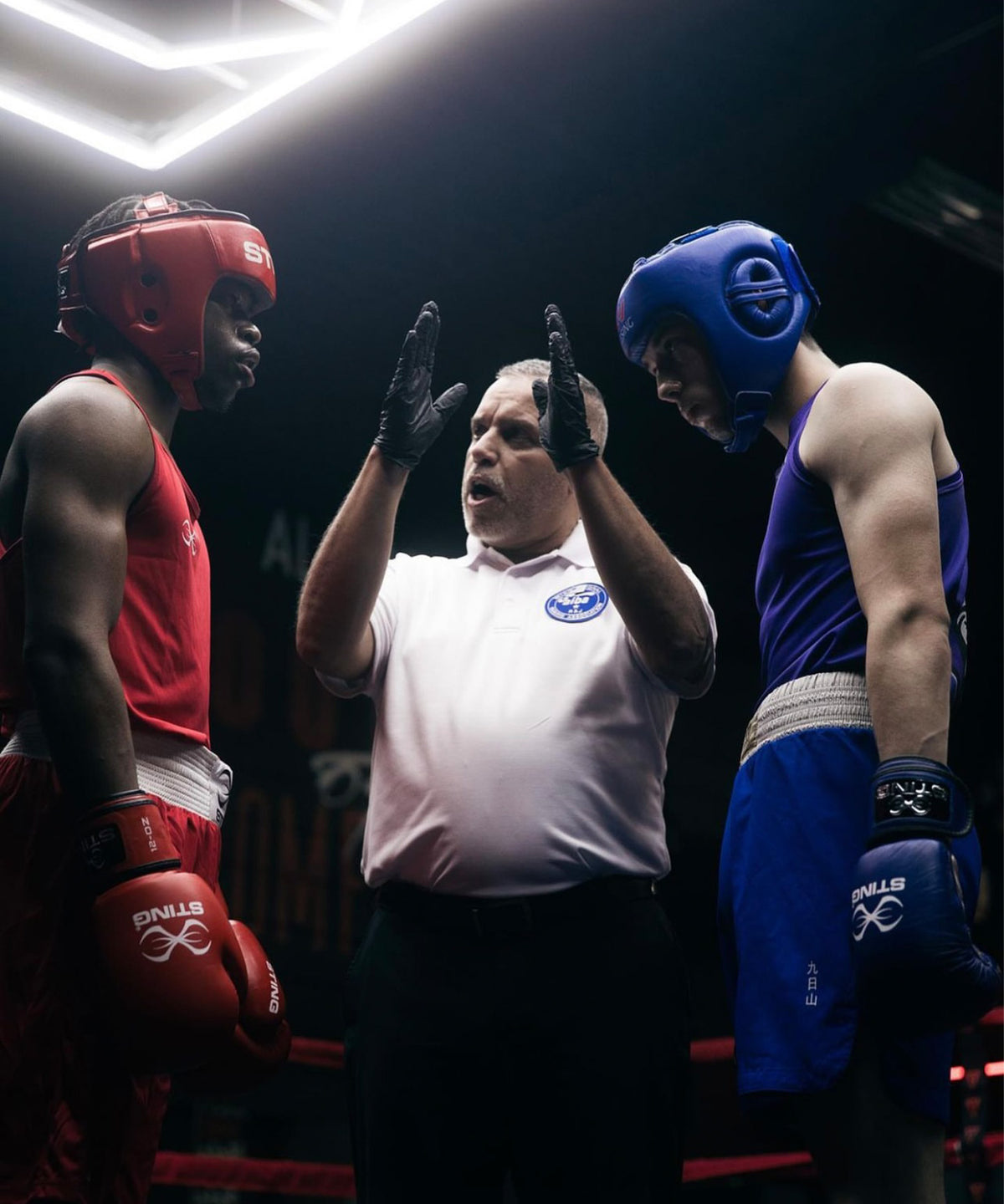 Sting Boxing | Evolution Boxing Gloves | XTC Fitness | Canada