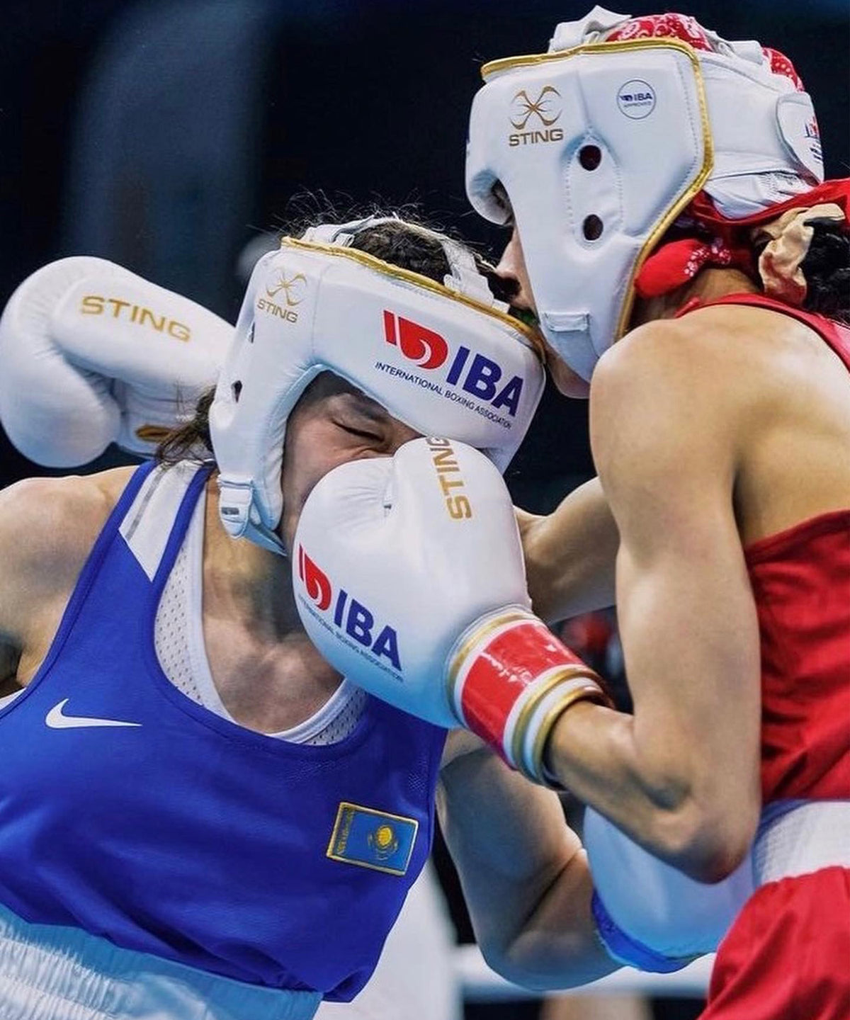 Sting Boxing | Evolution Boxing Gloves | XTC Fitness | Canada