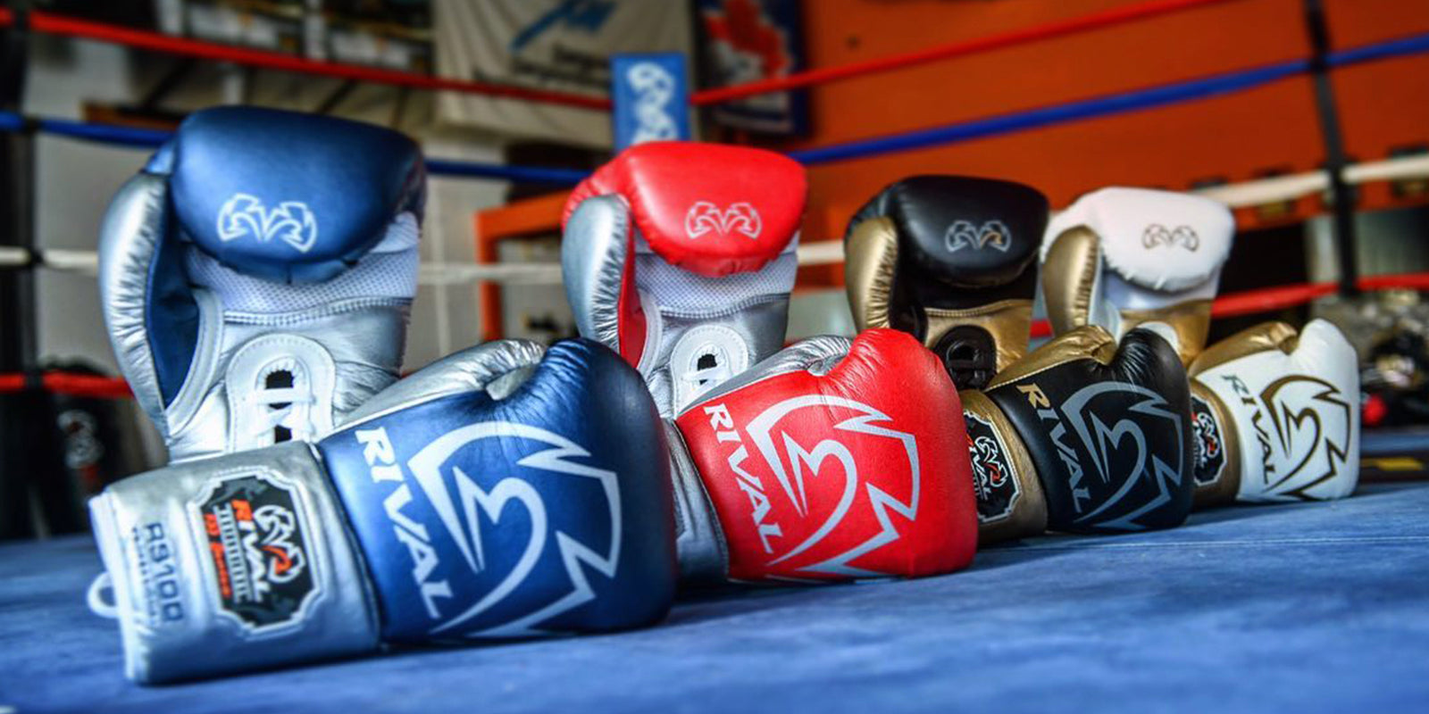 XTC Fitness | Exercise Equipment Superstore | Canada